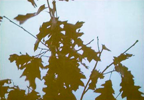 Greg Staats | issue 4 | brunt magazine